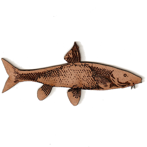 Wood Barbel Fish Shape for altered art and craft projects