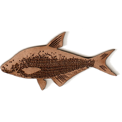 Wood Bronze Bream Fish Shape for altered art and craft projects