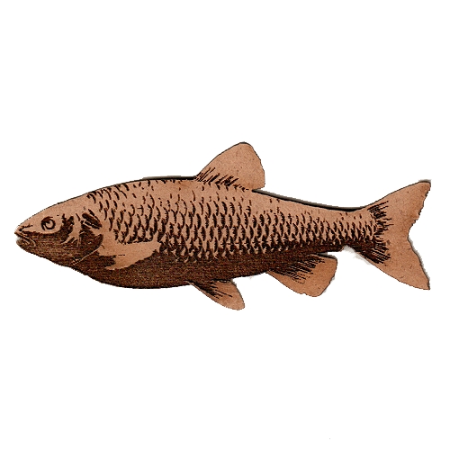 Wood Chub Fish Shape for altered art and craft projects