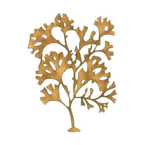 Stalked Leaf Bearer - MDF Seaweed Wood Shape