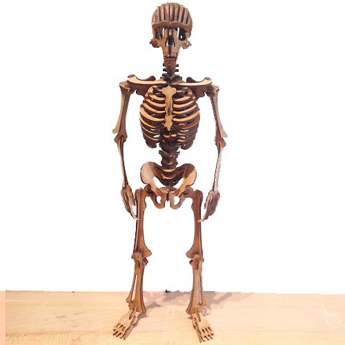 Standing Skeleton - MDF or Birch Ply Wood Kit