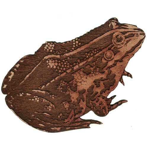 Striped Common Toad MDF Wood Shape